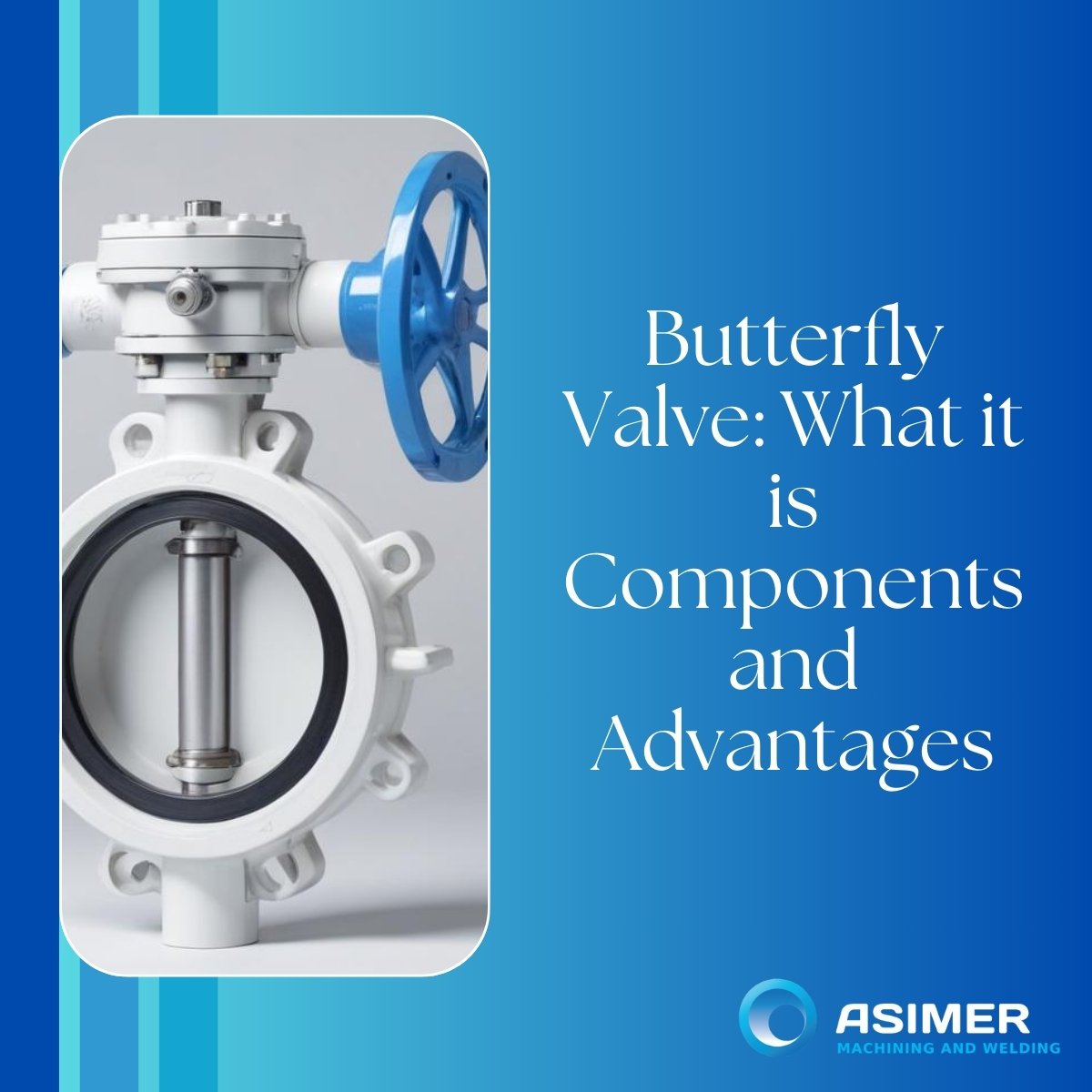 Butterfly Valve: What It Is and Its Components and Advantages Butterfly Valve: What It Is and Its Components and Advantages